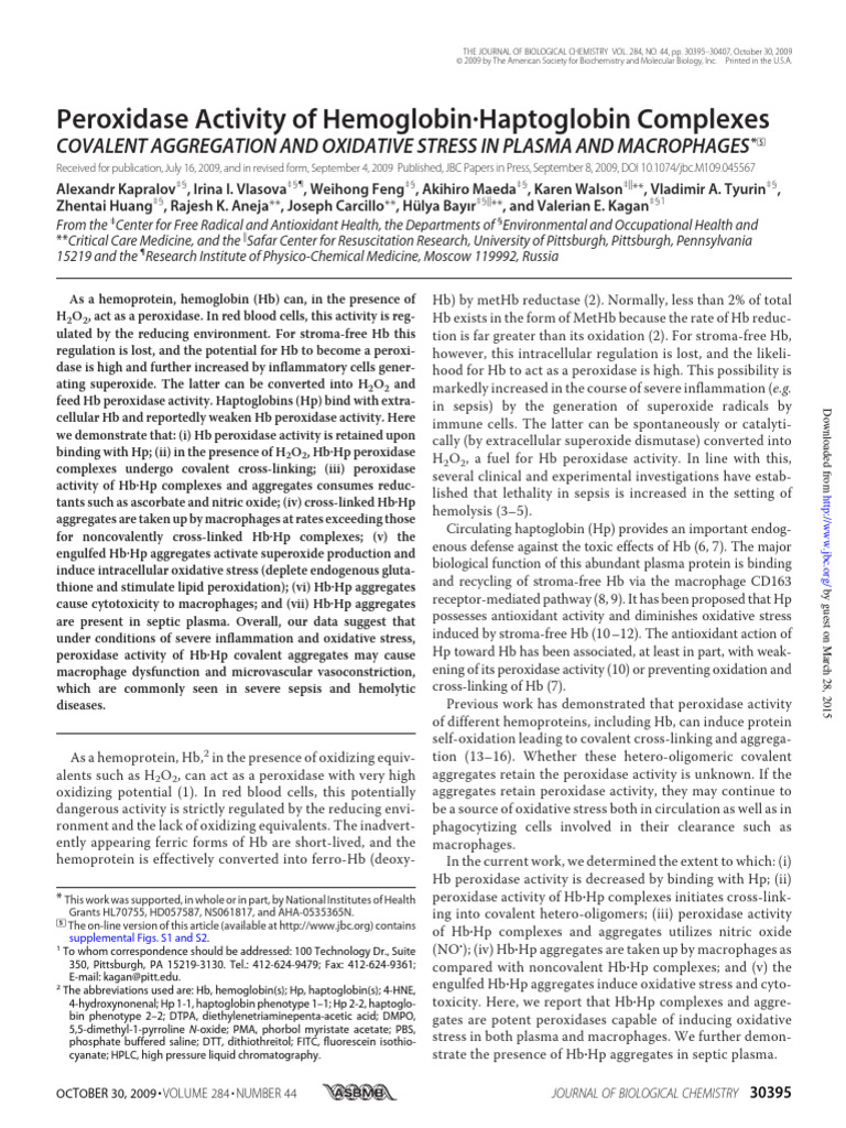 Hemoglobin-Haptoglobin Complexes and Oxidative Stress | PDF | Western ...