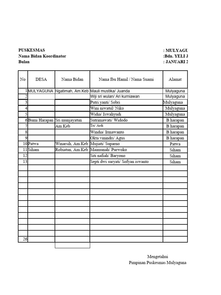 Data Pemantauan Bumil PKM Mulyaguna Th.24 | PDF