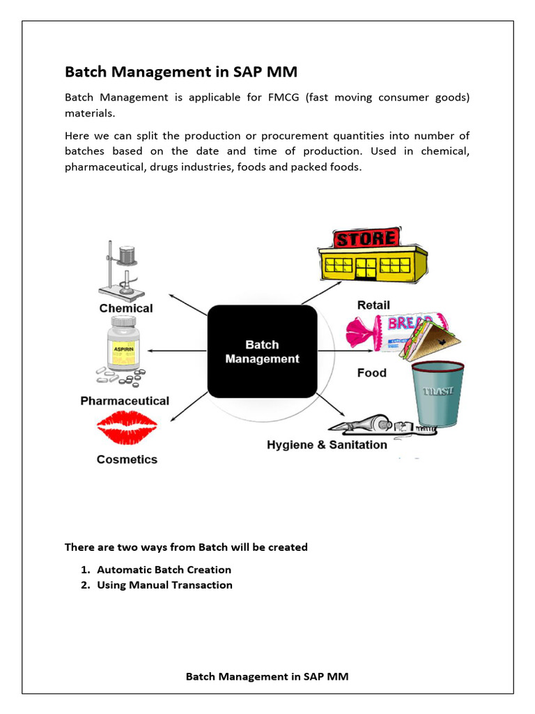 Batch Management Outils | PDF