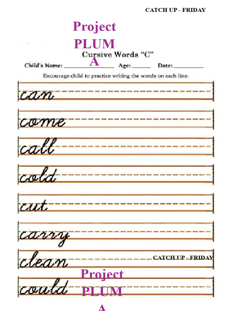 Project Pluma 3 | PDF