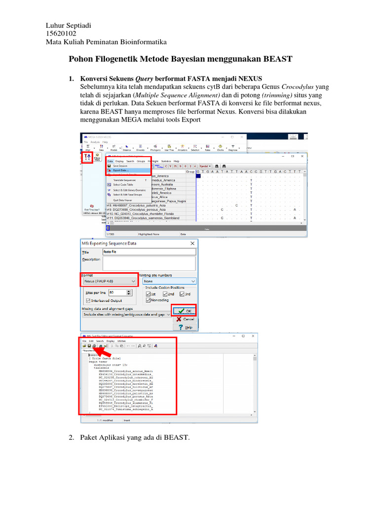 Analisis Filogenetik dengan BEAST | PDF
