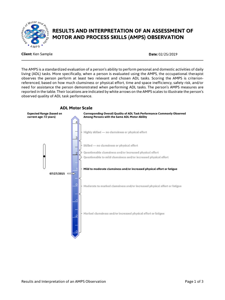 Amps Results Report | PDF | Standard Score | Cognition