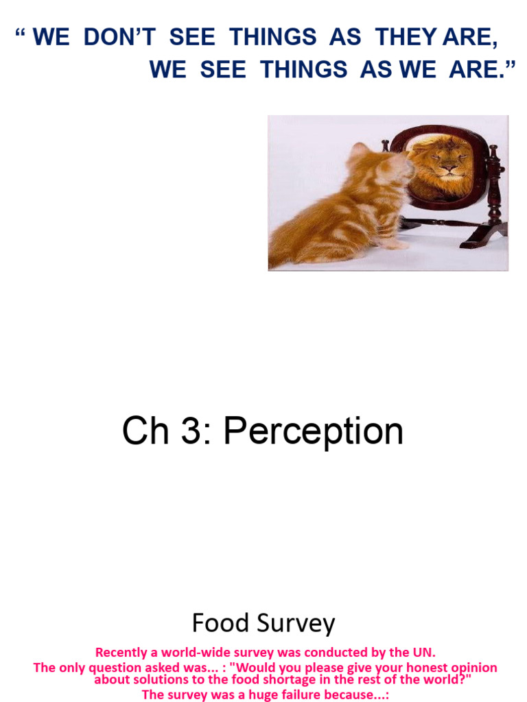 Chapter 3 Perception | PDF | Perception | Attitude (Psychology)