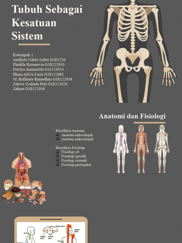 Anatomy Lesson by Slidesgo | PDF