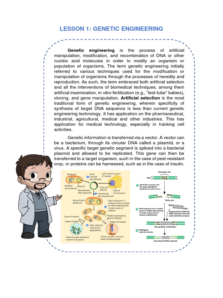 Lesson 2 Genetic Engineering | Download Free PDF | Restriction Enzyme ...