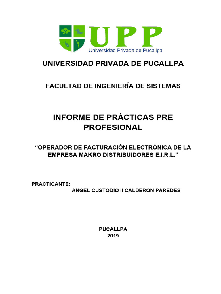 Informe_Practicas_Pre_Profesionales_Angel_Custodio v2 | PDF | SQL | Documento de identidad