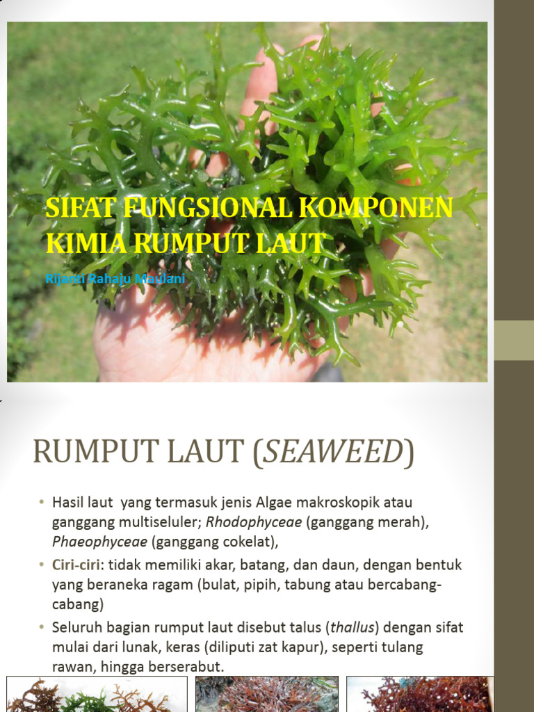 Sifat Fungsional Komponen Kimia Rumput Laut | PDF