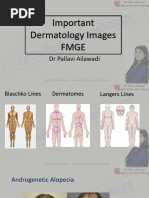 Comprehensive Dermatology Guide | PDF | Dermatitis | Integumentary System