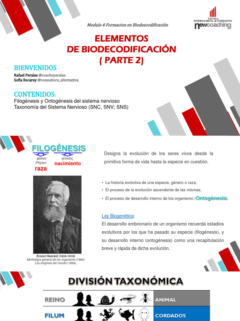 BIO 2 de 4 Filo y Ontogenesis (Sistema Nervioso Evolucion) | Descargar ...