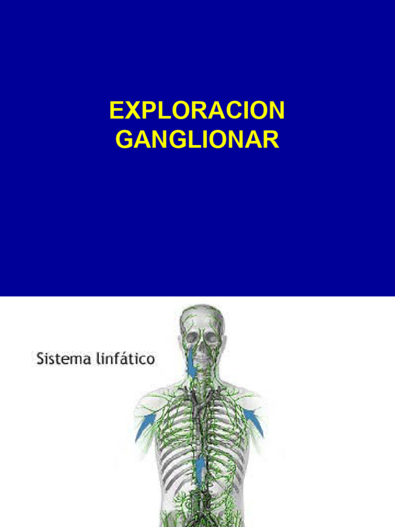 EXPLORACION GANGLIONAR | PDF | Sistema linfático | Sistema circulatorio