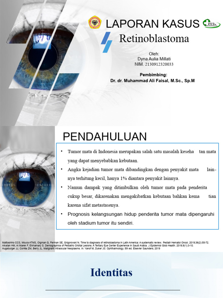 Lapsus Mata-Dyna Aulia Millati | PDF | Sains & Matematika