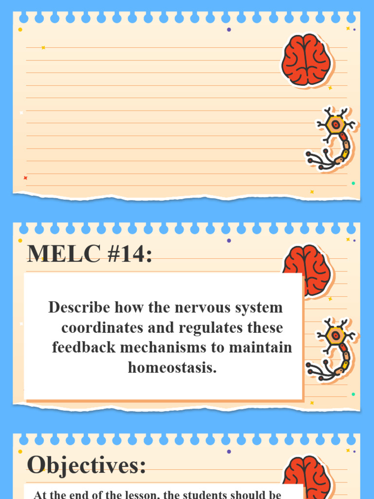Homeostasis and Feedback Mechanism | PDF | Homeostasis | Feedback