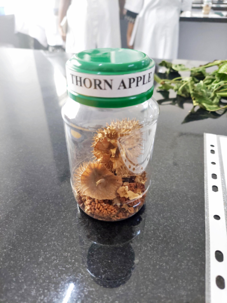 Forensic Medicine - Spotters | PDF