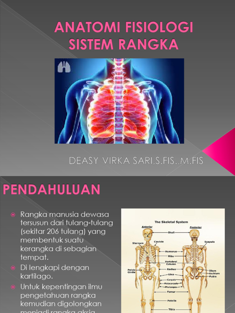 Anatomi Fisiologi Sistem Rangka | PDF