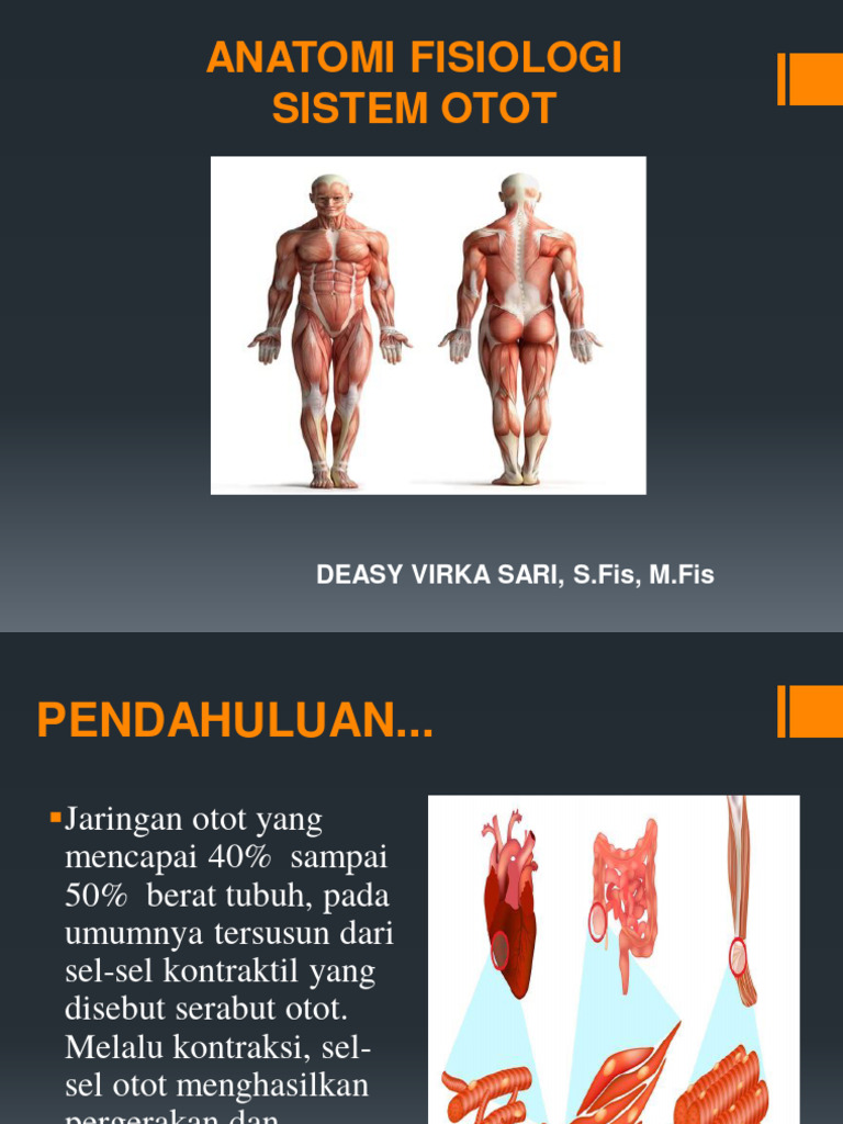 Anatomi Fisiologi Sistem Otot | PDF