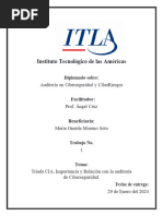 Triada Cid | PDF | La seguridad informática | Seguridad