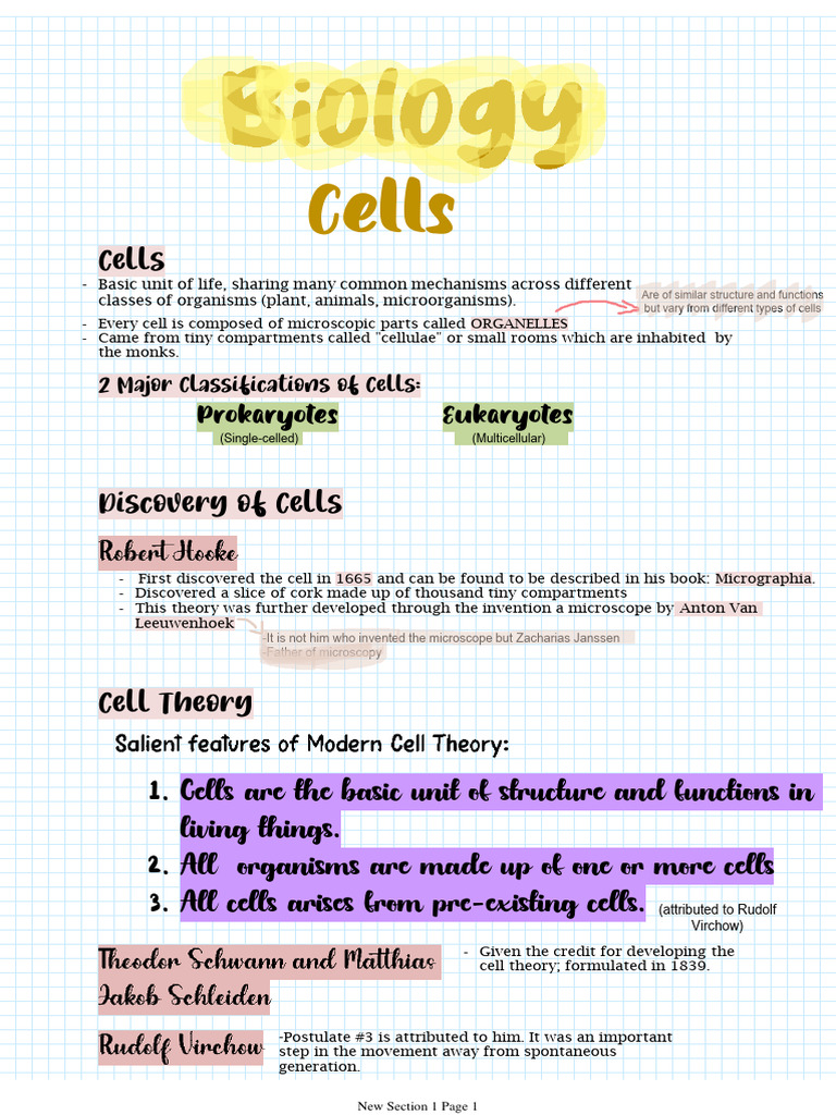 biology cells | PDF | Cell (Biology) | Endoplasmic Reticulum