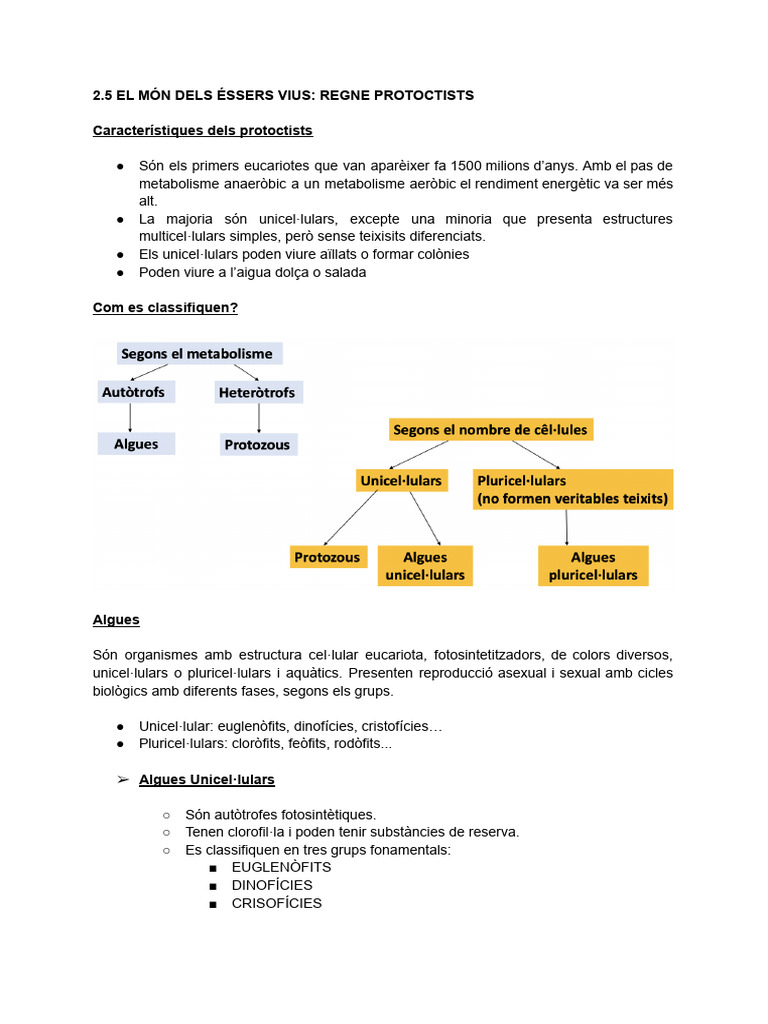 2.5 Regne Protoctist | PDF