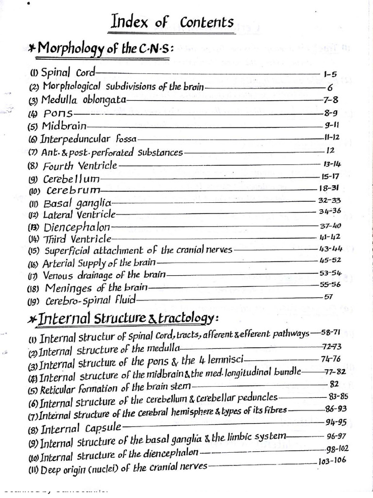 Handmade Neuro Notes | PDF