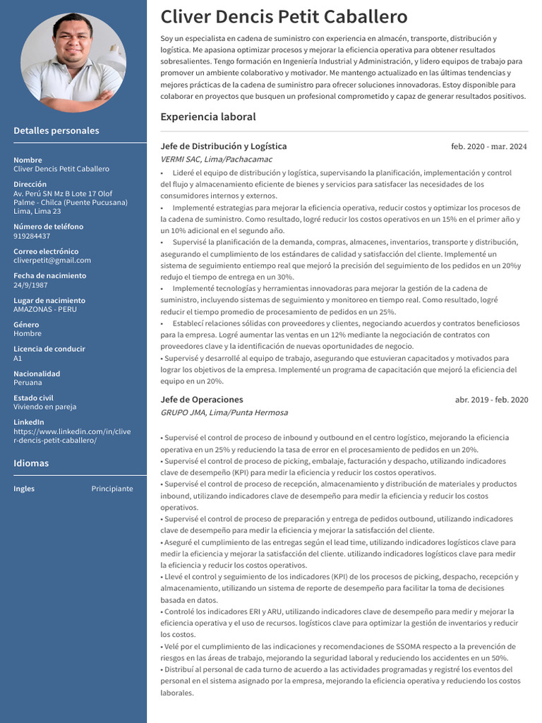 Curriculum-Cliver Dencis Petit-Caballero | PDF | Logística | Cadena de ...