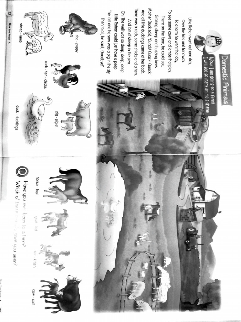 Farm Animals Picture Talk | PDF