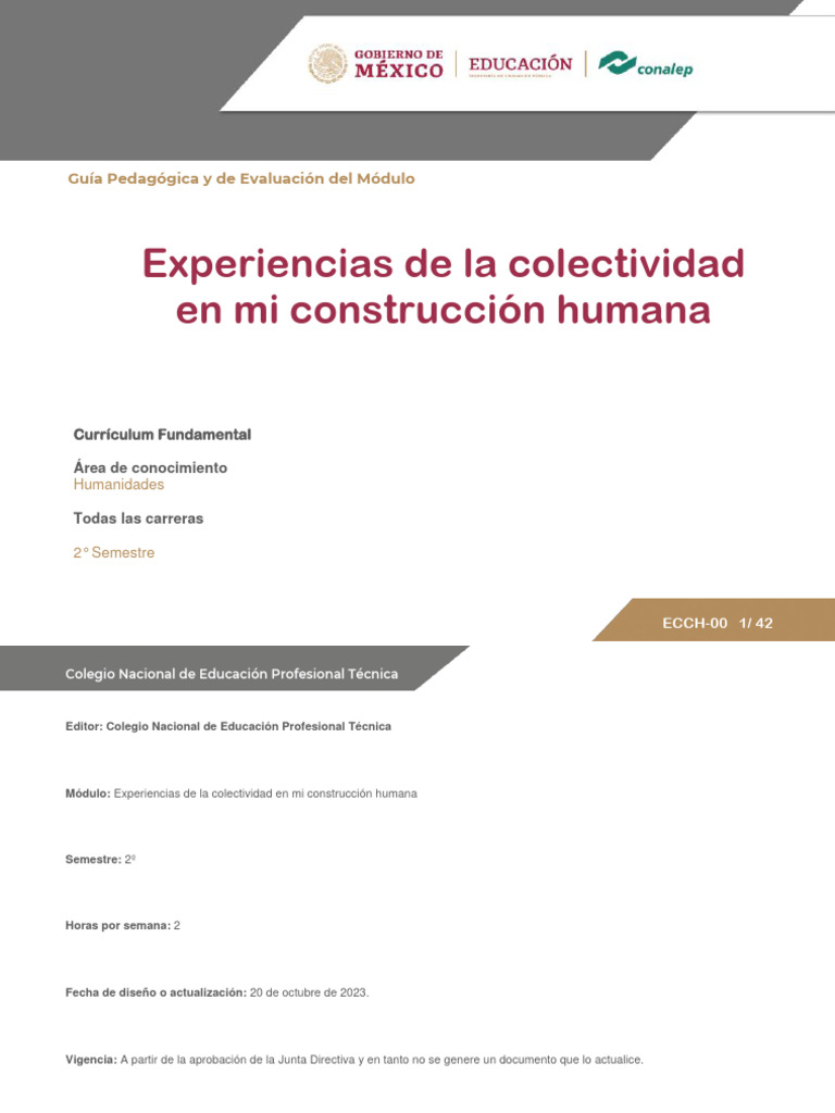 Gpe Experienciacconsthumana-00 | PDF | Enseñando | Plan de estudios
