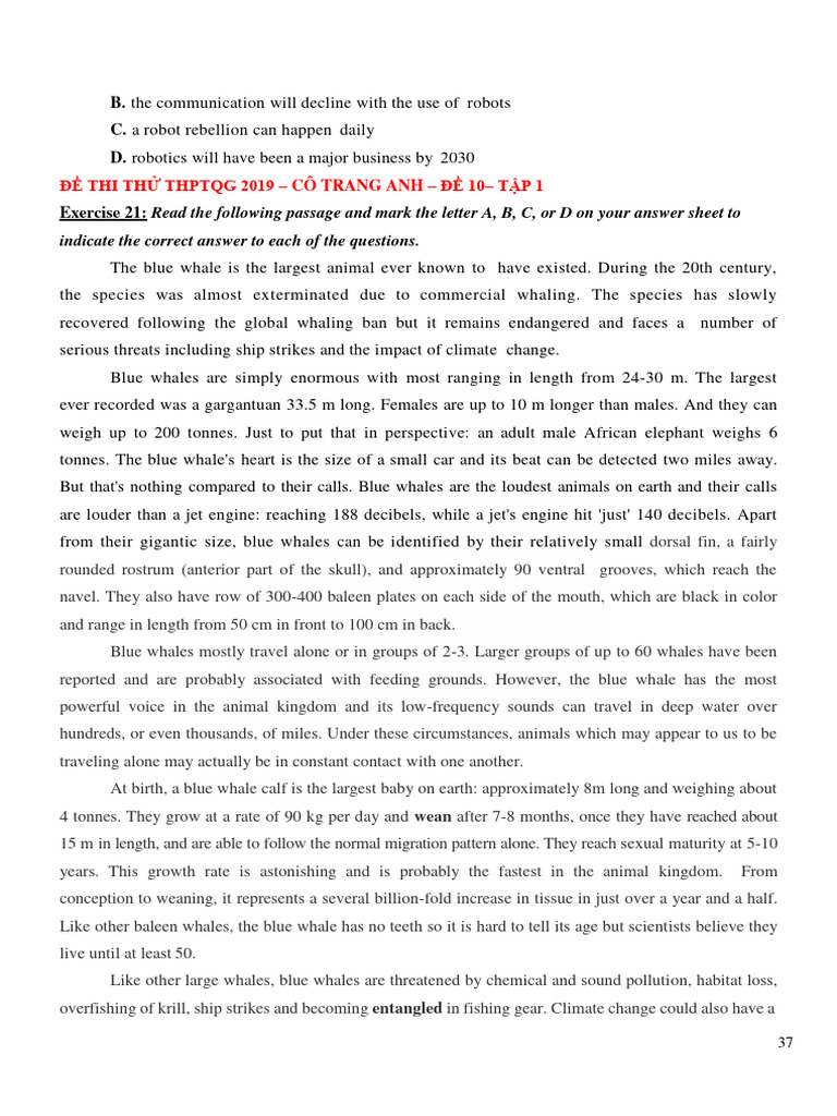 40 Bai Tap Doc Hieu (300 Cau) Tu de Co Trang Anh Tap 1-39-41 | PDF ...