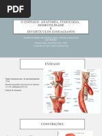 Anatomia Cirúrgica Do Esôfago | PDF | Esôfago | Anatomia
