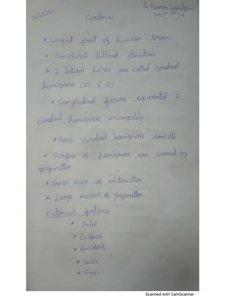 Anatomy assignment | PDF