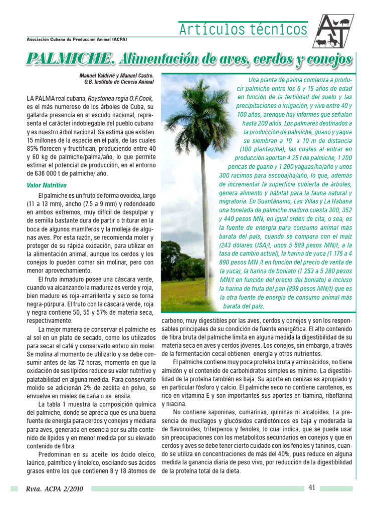 19 Palmiche | PDF | Tecnología