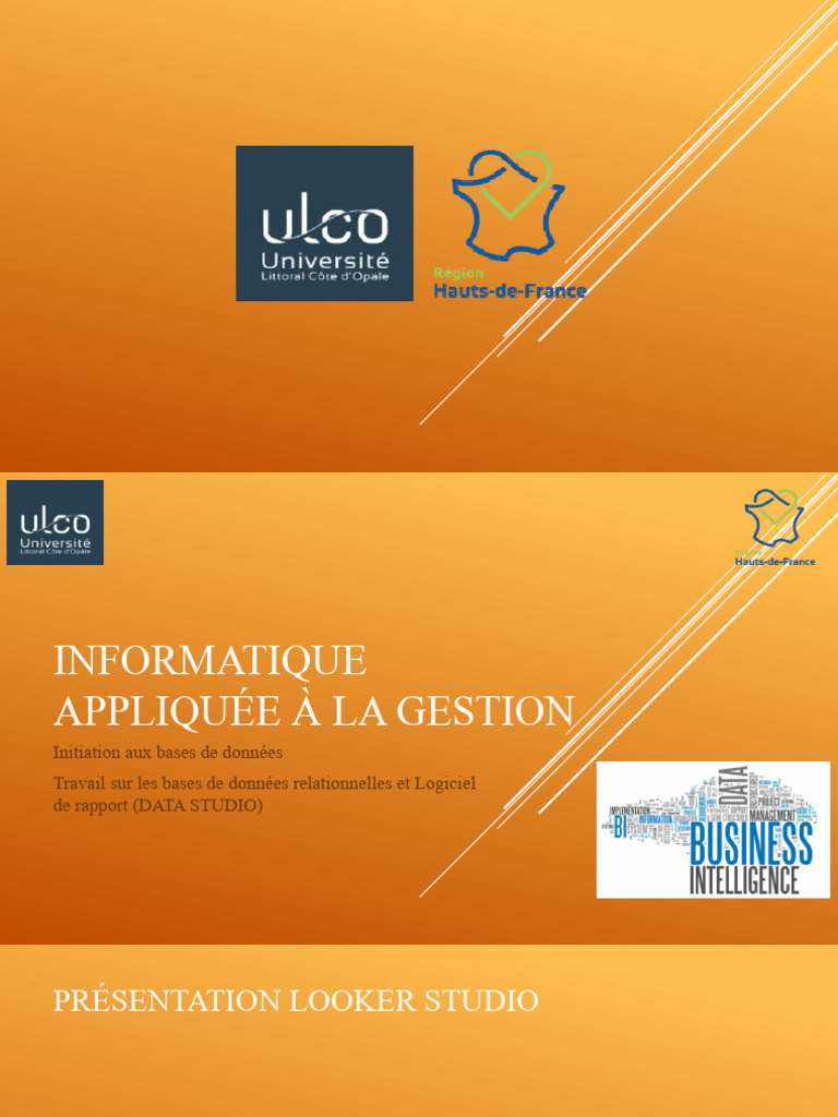 Informatique Appliquée À La Gestion - Les Bases de Données - DATA ...