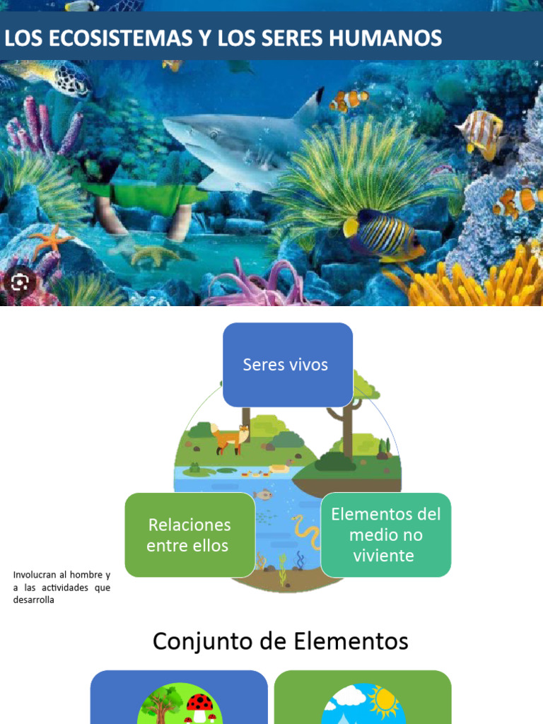1.2 Ecosistemas | PDF | Ecología | Organismos