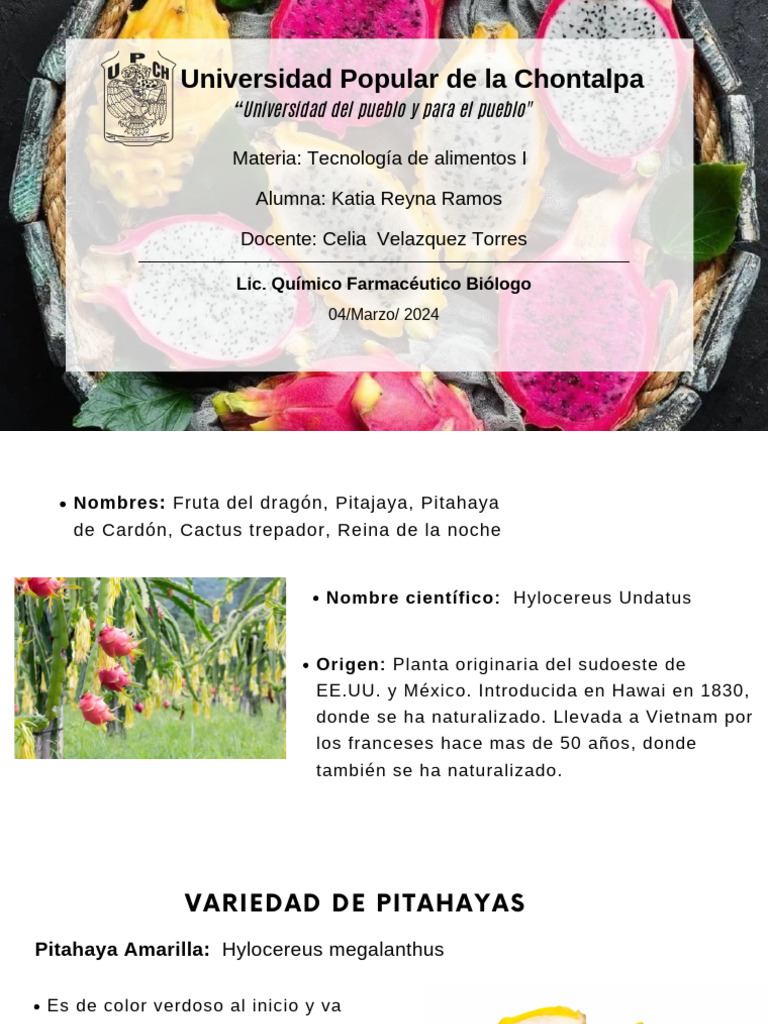 Presentación de Pitahaya | PDF | Hogar, jardinería y bricolaje | Salud y bienestar