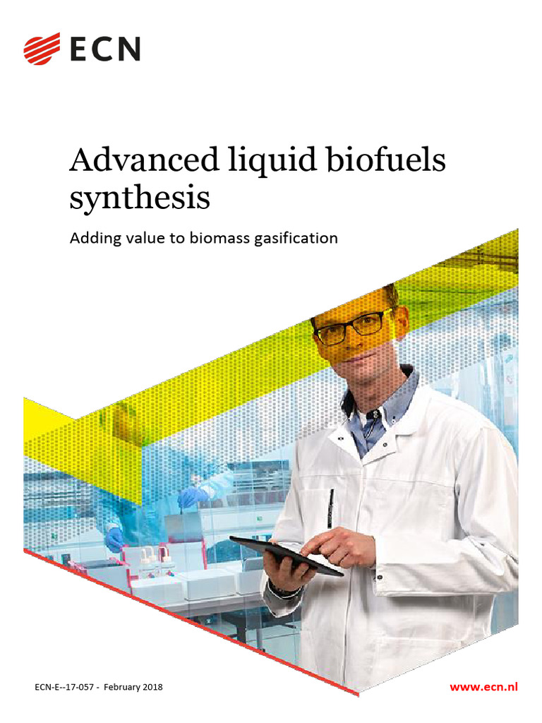 Advanced Liquid Biofuels Synthesis: Adding Value To Biomass Gasification | PDF | Gasification ...