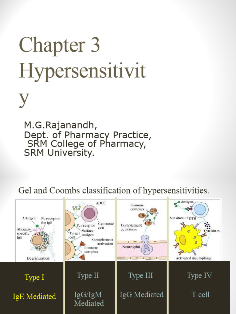 HYPERSENSITIVITY | PDF | Allergy | Immune System