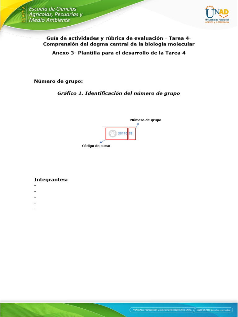 Anexo 3 - Plantilla para El Desarrollo de La Tarea 4 | PDF | Codigo genetico | Replicación De Adn