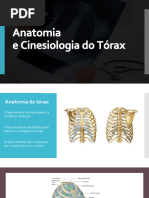 Nomes de 100 Músculos Do Corpo Humano | PDF | Sistema Locomotor ...