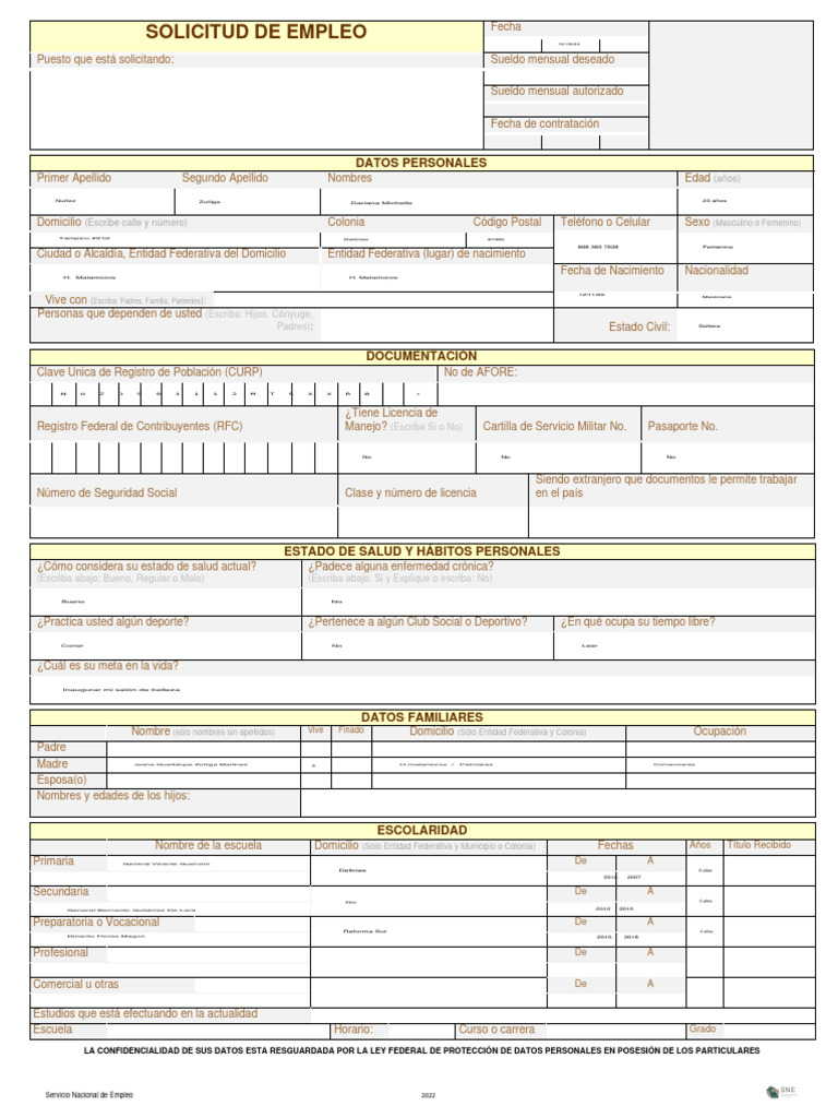 Solicitud de Empleo 2022: Formato y Datos | PDF