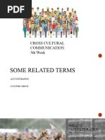 Berry Acculturation Model | PDF