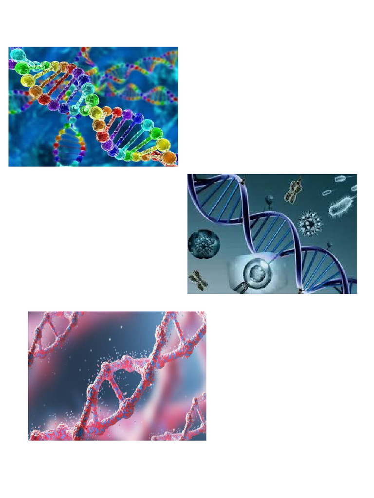 Biologia Jheremy | PDF