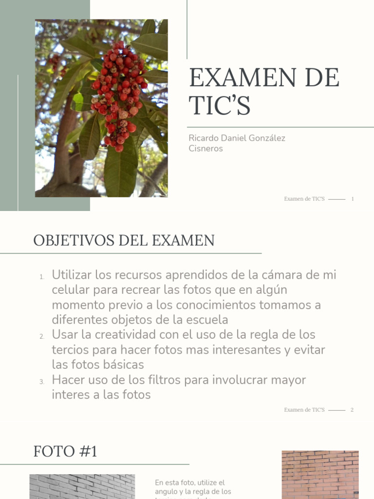 Examen de TICS | PDF
