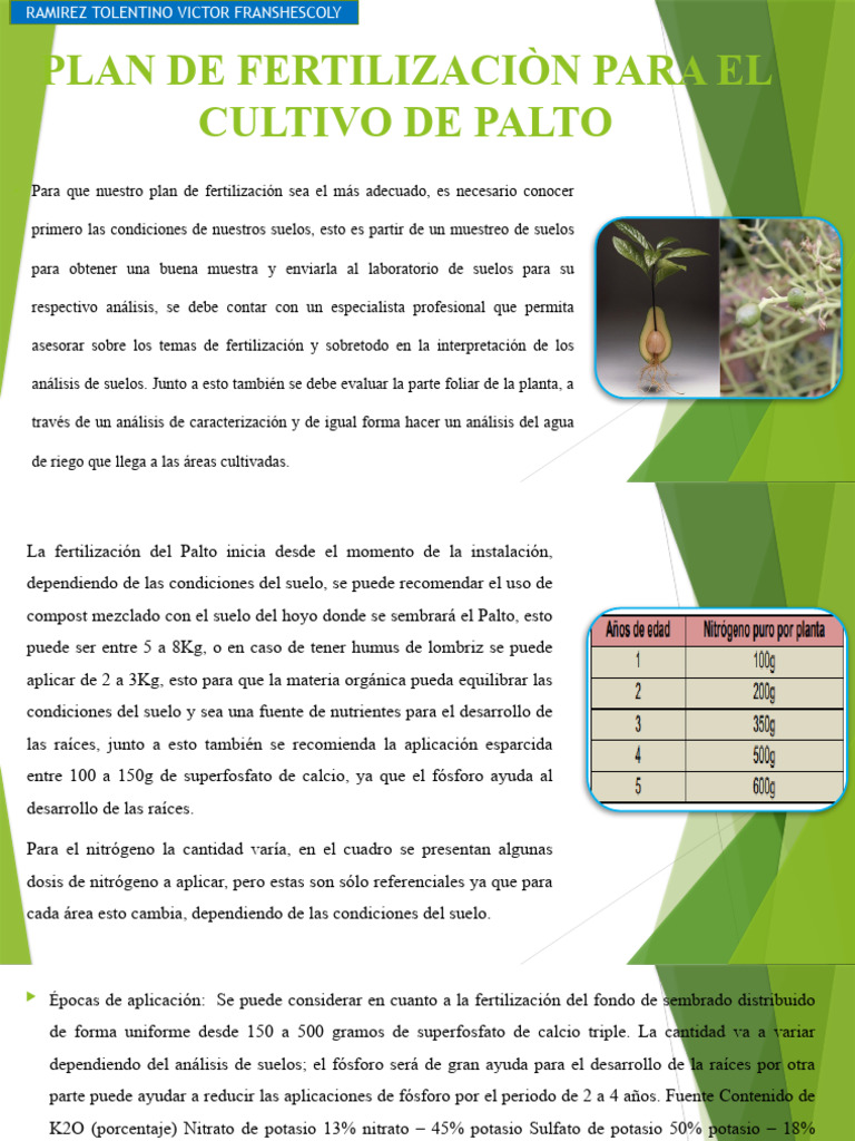 Ramirez Tolentino Victor - Plan de Fertilizacion Del Cultivo de Palta y Alcachofa | PDF ...