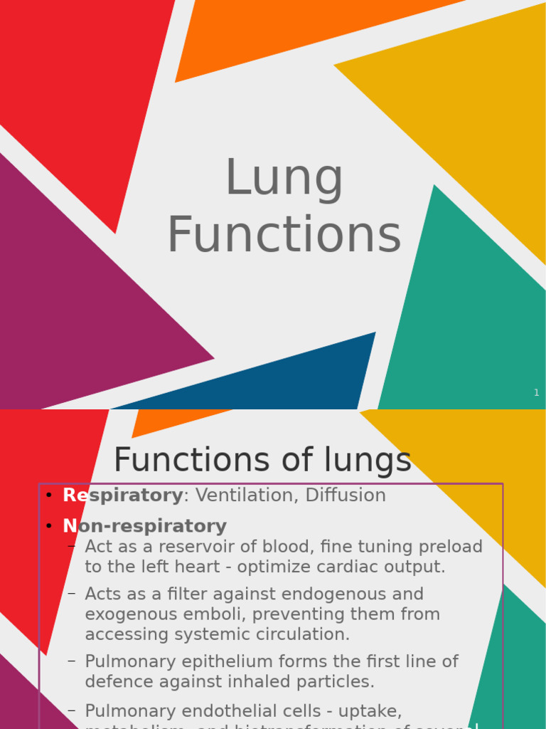 Lung Functions | PDF | Lung | Pulmonology