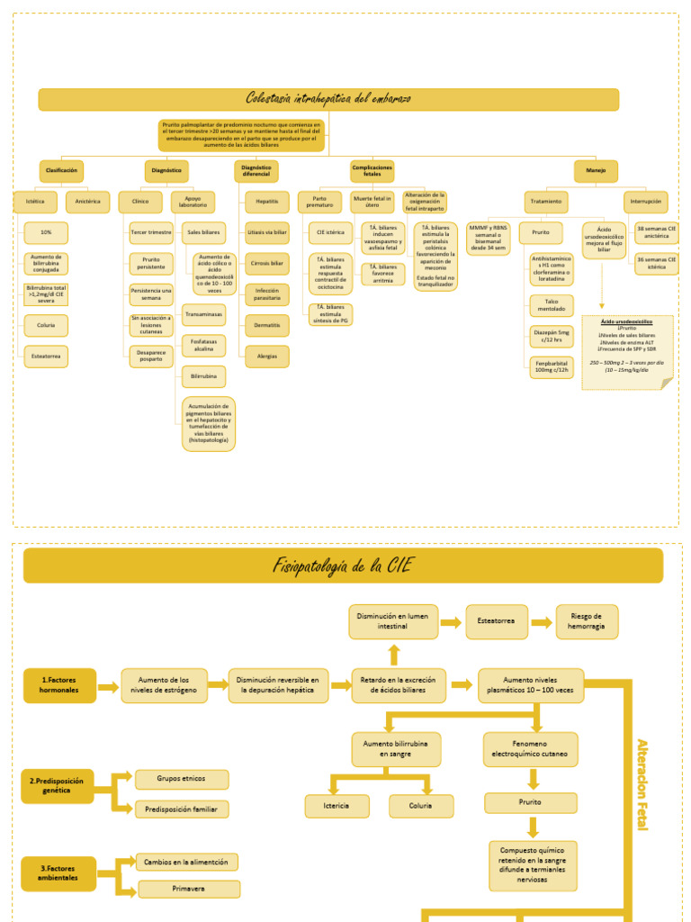 MAPA CIE y EVP | PDF | El embarazo | Especialidades Medicas