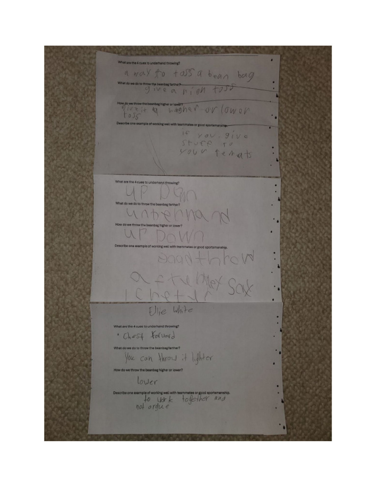 Sample Assessments | PDF