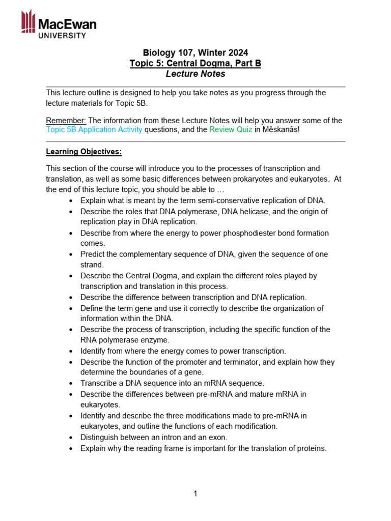 Topic 5B Notes Outline | PDF | Translation (Biology) | Rna