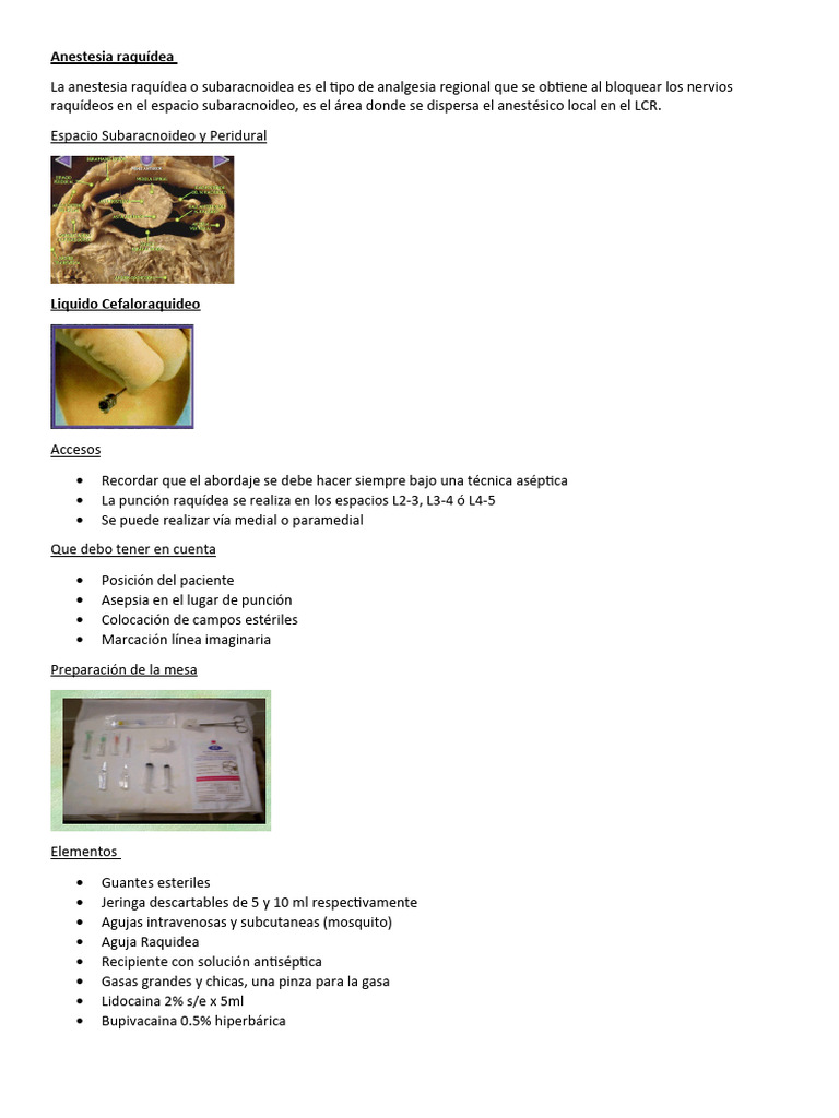 Anestesia Raquídea: Técnica y Complicaciones | PDF | Fluido ...