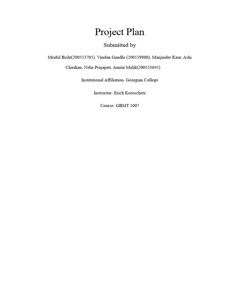 Bisht - Mridul Projectplan | PDF | Risk | Electrical Grid