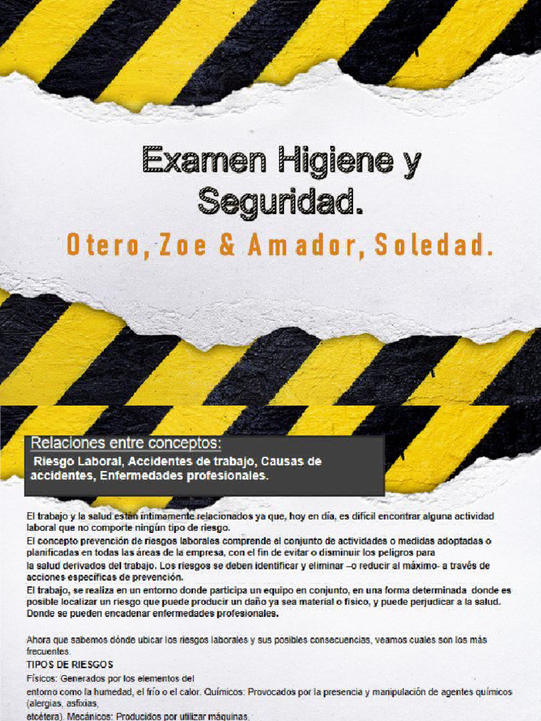 Seguridad e Higiene Zoe | PDF