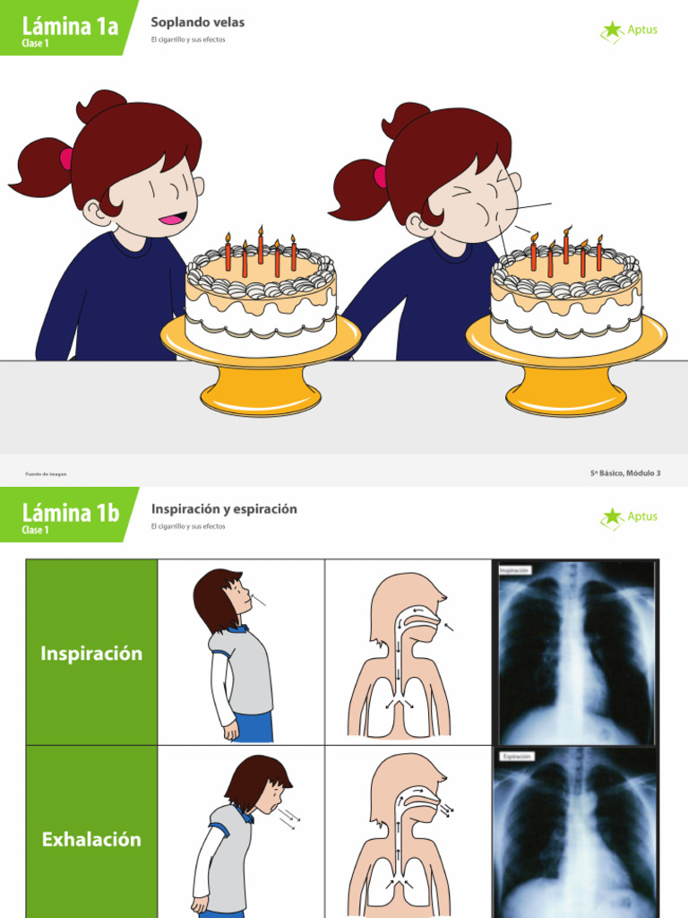 Modulo 3 Clase 1 Laminas | PDF